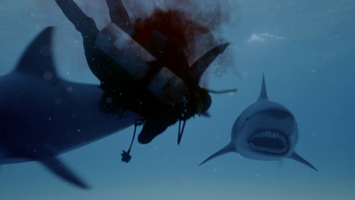 Shark Lake – Jetzt streamen | Sky